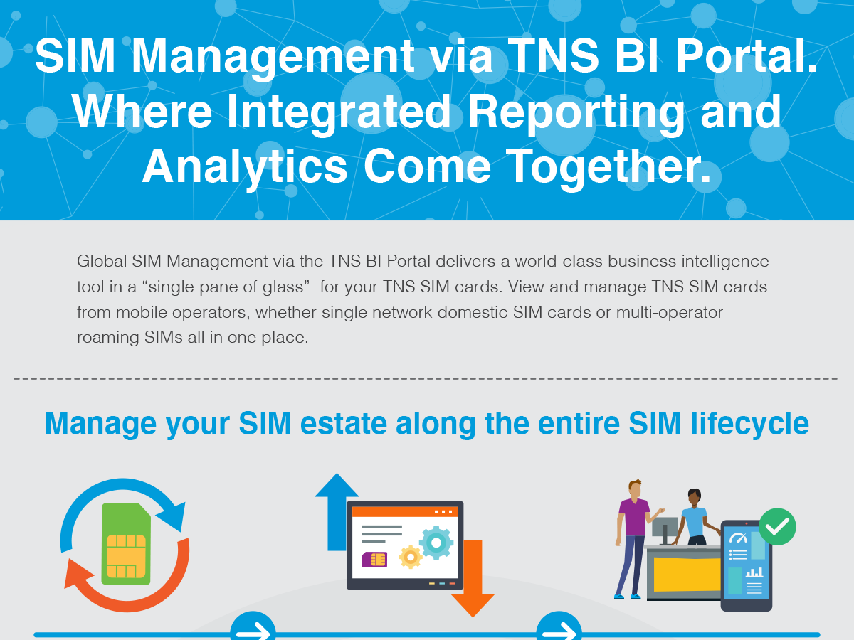 SIM Management via TNS BI Portal. Where Integrated Reporting and ...