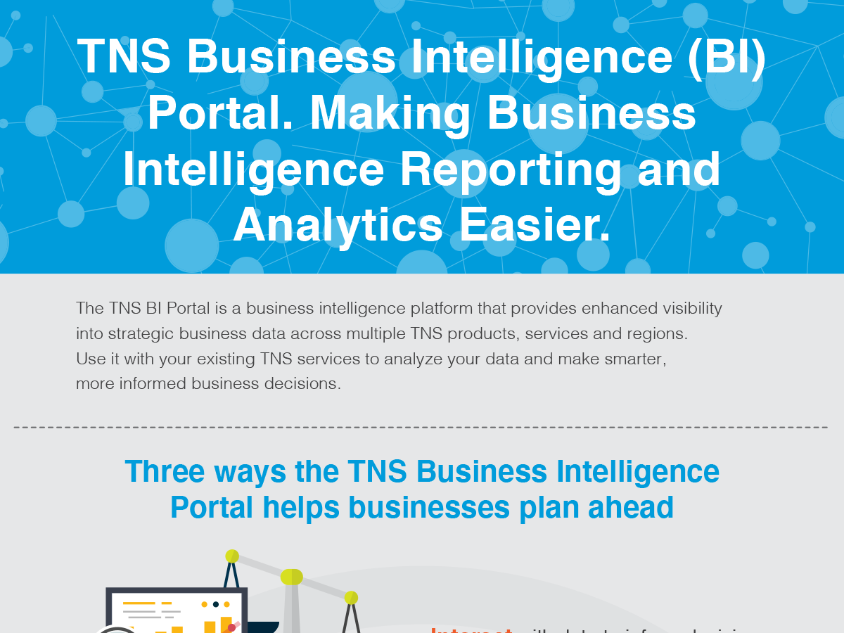 TNS Business Intelligence (BI) Portal. Making Business Intelligence ...