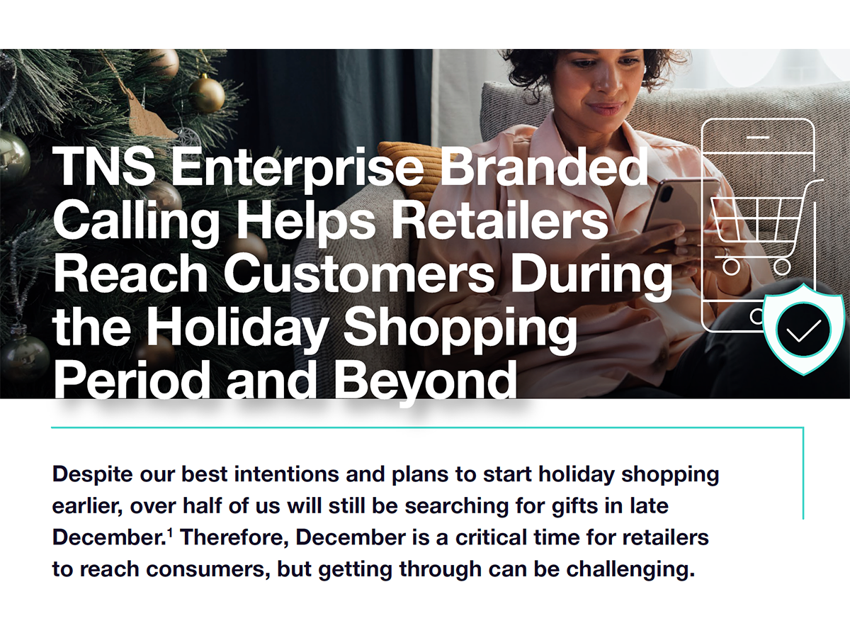TNS Helps Retailers Reach Consumers in Holidays, Infographic